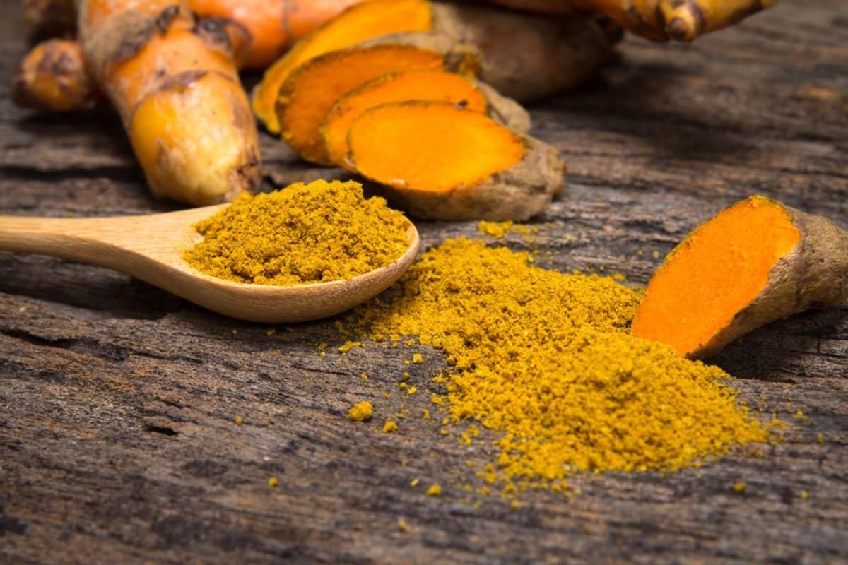 The Best Immune System Supplements Bust Bunny