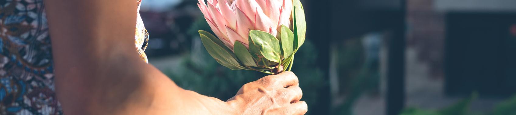 MTF Transition Timeline: 3 Things You Should Know - Bust Bunny